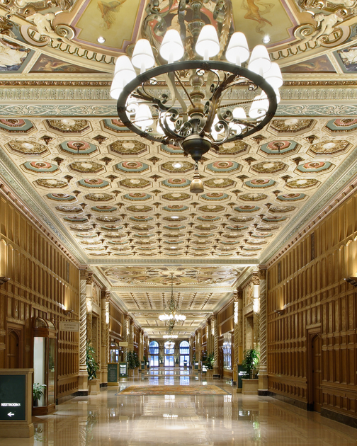 Opulence Collection | The Noble Brand